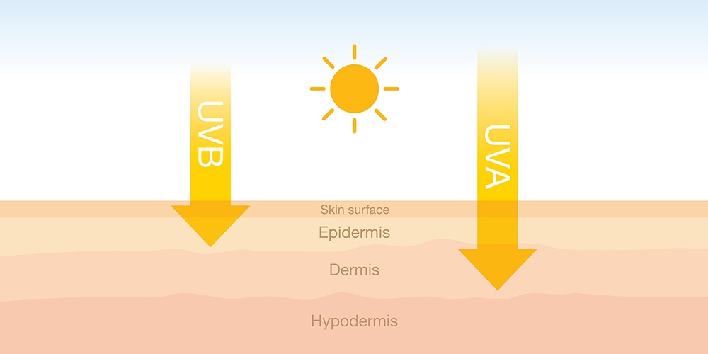 What is SPF? Let's Discover Sun Protection!｜BEAUNION COLOURS CO., LTD.,